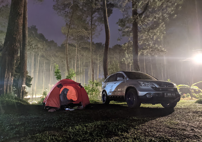kebon pines 5 • Bellva Adventure Indonesia
